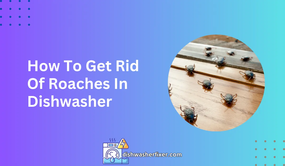 How to Get Rid of Roaches in Dishwasher: Quick & Safe Fixes