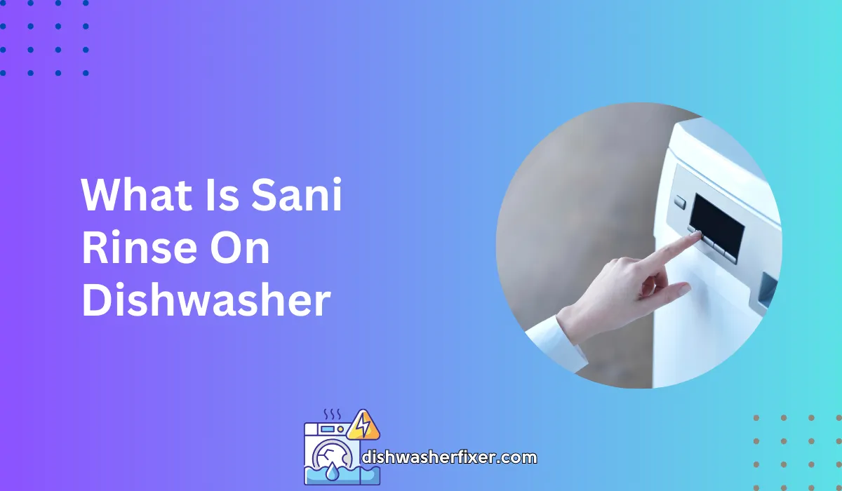 What is Sani Rinse on Dishwasher? Unlocking the Hygiene Feature